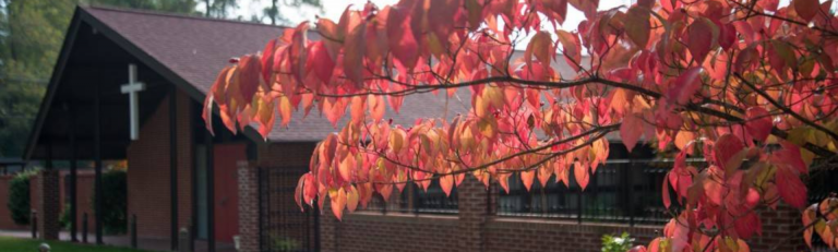 Epworth United Methodist Church – We are transforming the world by ...